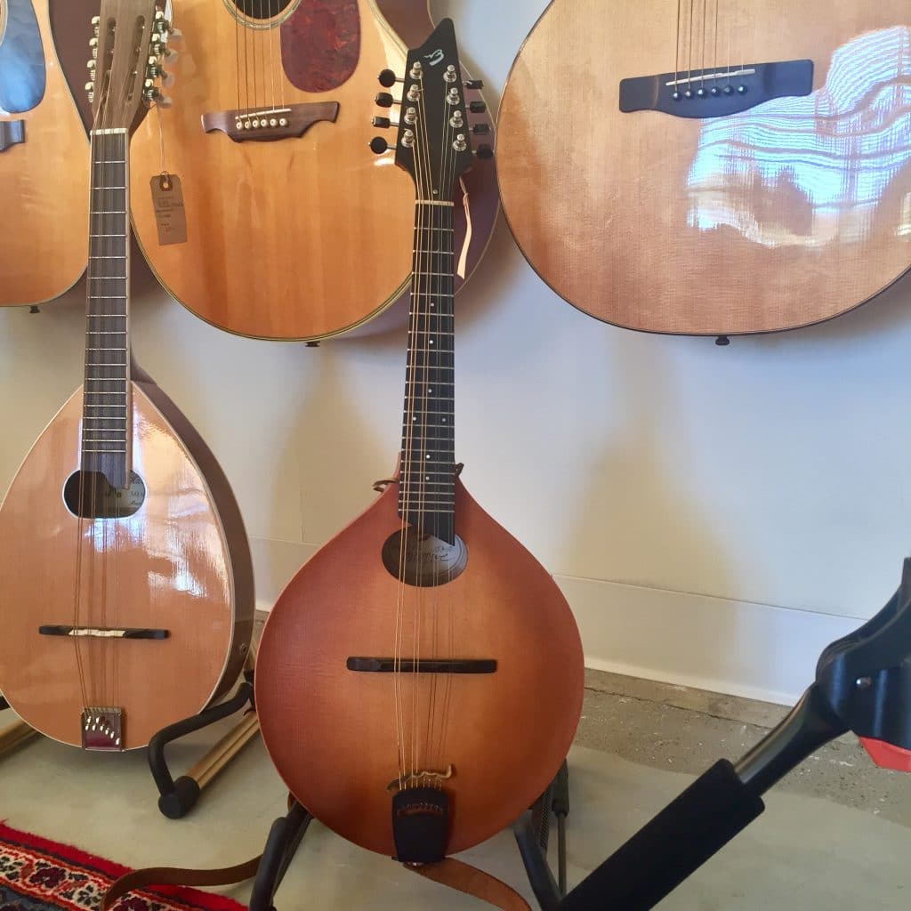 IMG_E6452 - Timbre Folk and Baroque Musical Instruments Repairs and Lessons