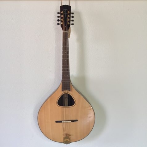 mandolin2 - Timbre Folk and Baroque Musical Instruments Repairs and Lessons