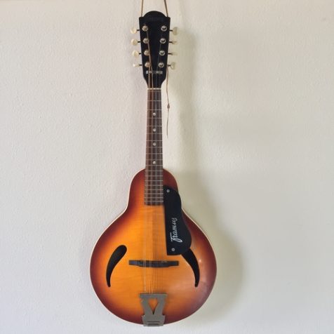 mandolin9 - Timbre Folk and Baroque Musical Instruments Repairs and Lessons